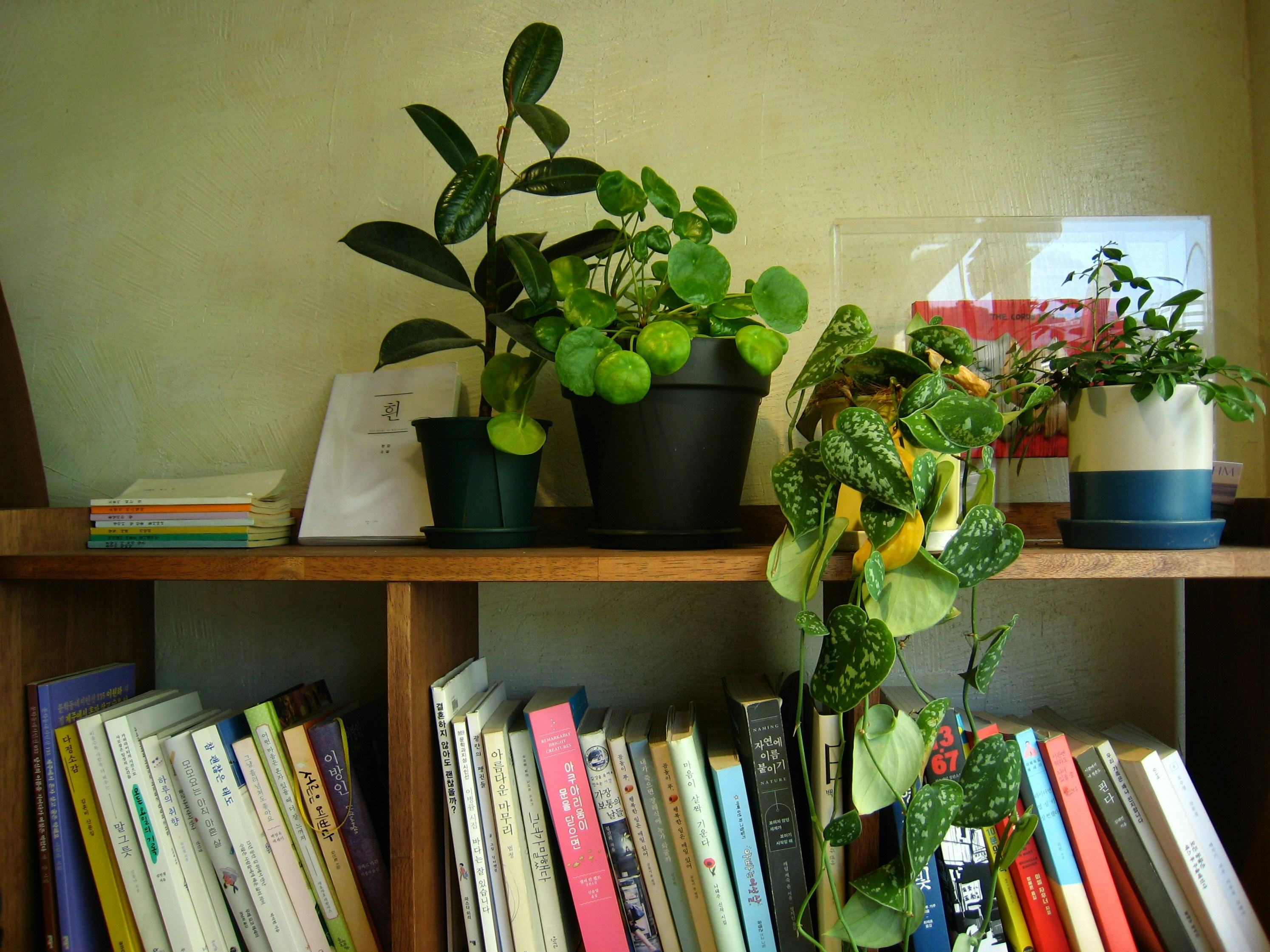 12 Must-Read Green Home Books to Transform Your Space 🌿 (2026) - Gone ...